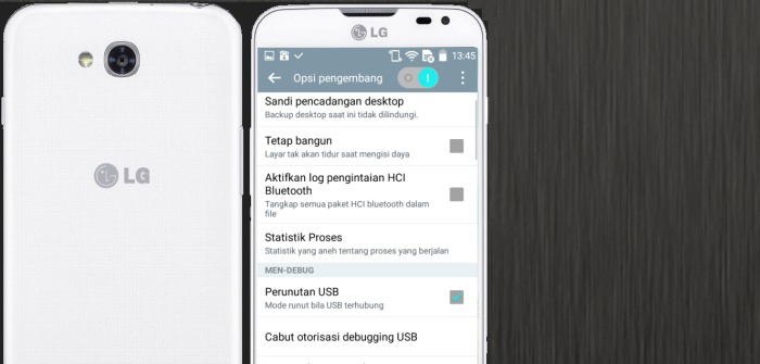 Cara Mengaktifkan Developer Option, USB Debugging HP LG | CaraRoot.com
